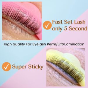 Lash Lift Brow Lamination kit 2 in1 Professional Tools Easy DIY at Home Airless Pump Lotion Long Time Kept Eyelash Brow Lifting up 6 Weeks