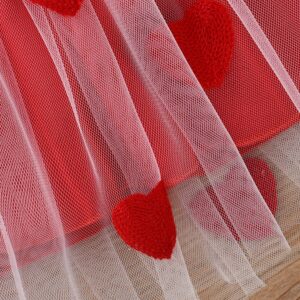 Infant Toddler Baby Girls Valentine's Day Outfit Long Sleeve Heart Lace Tulle Tutu Dress Princess Festival 2ps(Red, 9-12 Months)