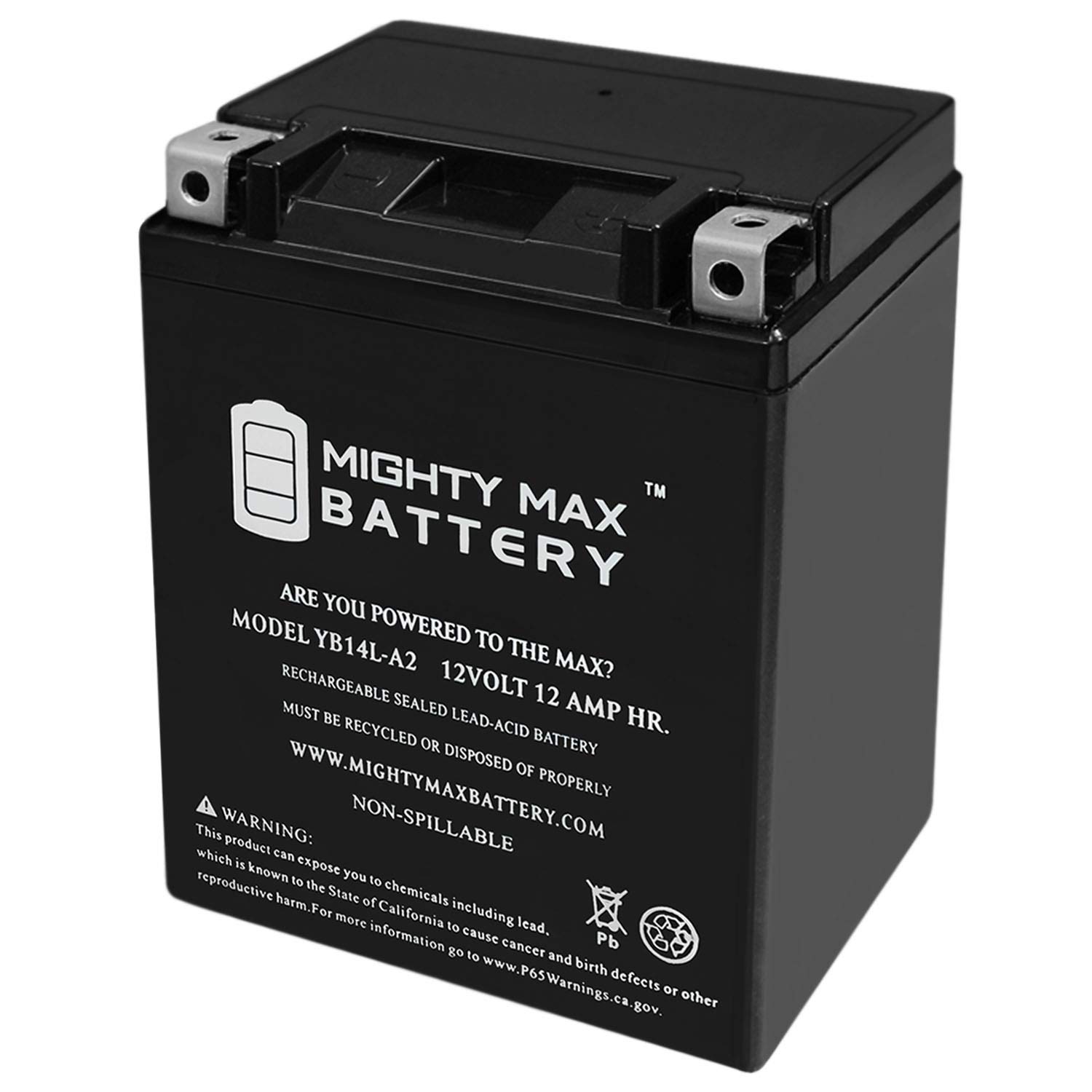 Mighty Max Battery YB14L-A2 12V 12Ah Replacement Battery for AGM ES14LA2