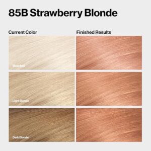 Permanent Hair Color by Revlon, Permanent Blonde Hair Dye, Colorsilk with 100% Gray Coverage, Ammonia-Free, Keratin and Amino Acids, Blonde Shades, 85B Strawberry Blonde (Pack of 3)