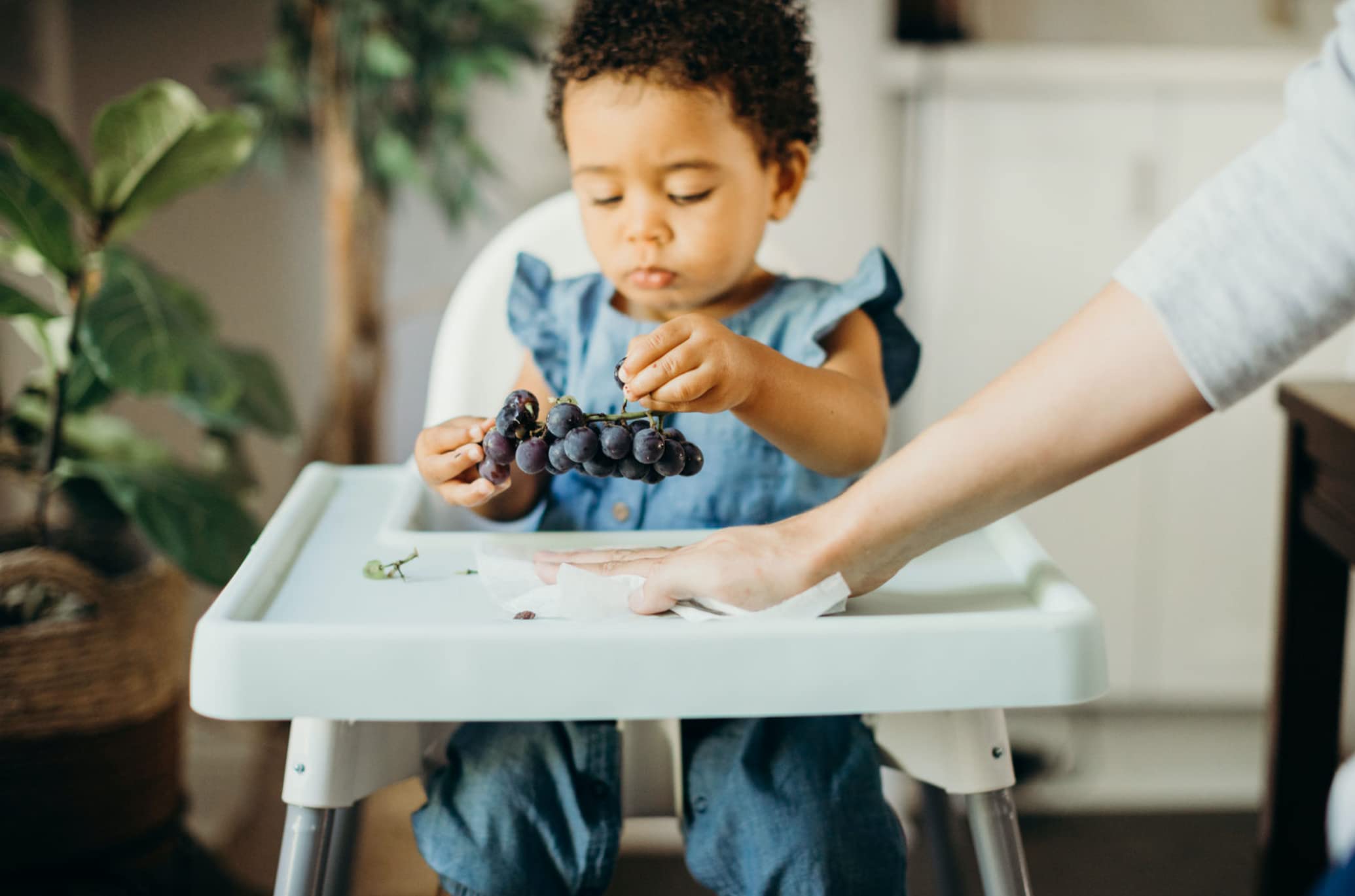 Silicone Full Cover Placemat for IKEA Antilop High Chair, BPA Free, Dishwasher Safe, ezpz Baby Led Weaning Plate, Baby Finger Food