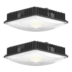 deojoy led canopy light fixture,45w 5850lm hid/hps replacement, 9.5" x 9.5", 5700k, ac100-277v, ip65 waterproof,canopy lights outdoor for gas station,warehouse, shop (45w-2pack)