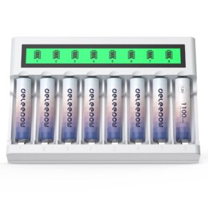 deleepow aaa rechargeable batteries 1.2v 1100mah 1200 cycle nimh triple a battery 8 count with micro usb and usb-c 2 charging port 8 slot smart charger