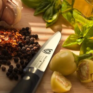 Dalstrong 10" Chef Knife Bundled with 3.5" Paring Knife