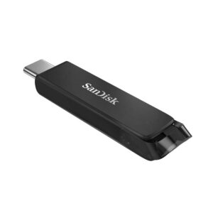 SanDisk Ultra USB 256GB Type-C Flash Drive Works with Dell XPS 13 Touch, XPS 15, XPS 17, XPS 13 2-in-1 PCs & Laptops (SDCZ460-256G-G46) Gen 1 USB 3.1 Bundle with (1) Everything But Stromboli Lanyard