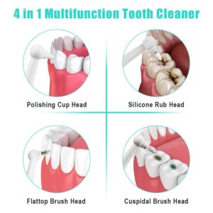 Electric Tooth Polisher, Household Dental Tartar Calculus Remover for Fighting Tooth Smoke and Tea Stains Teeth Whitening Cleaning Kit for People and Pet Dog