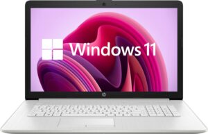 hp [windows 11 home] newest laptop, 17.3” full hd display, 11th generation intel core i3-1115g4 processor, 32gb ram, 1tb ssd, ethernet, webcam, wi-fi, bluetooth, hdmi, silver