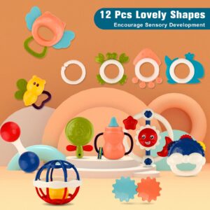 Baby Toys 6 to 12 Months, Tinabless 12pcs Baby Rattle Toys Infant Toys Teething Toys for Babies 6-12 Months, Baby Toys 3-6 Months Newborn Toy Baby Gifts