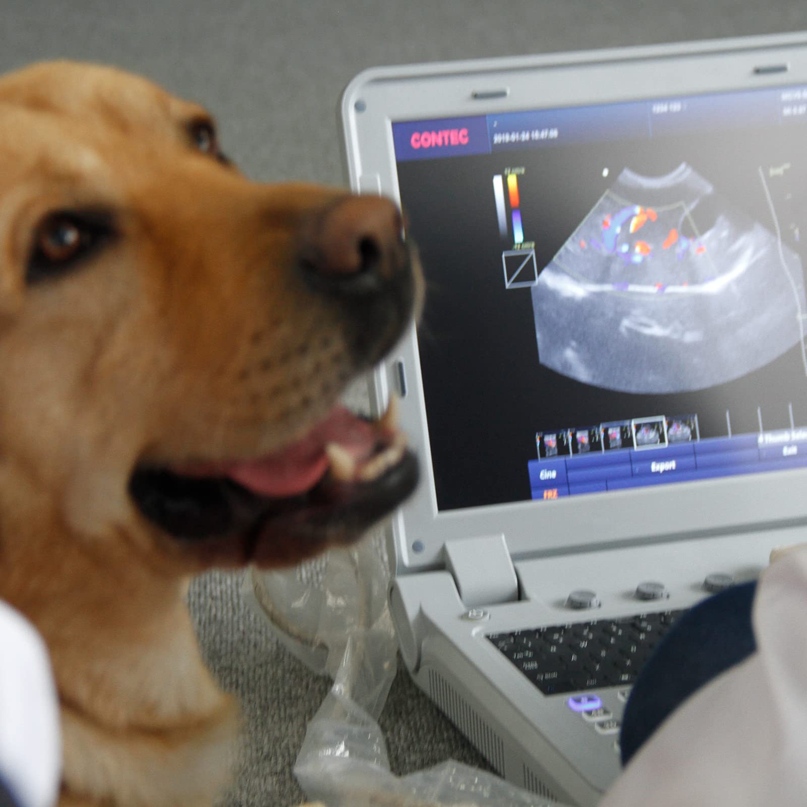 Veterinary Portable Laptop Color Doppler Ultrasound CONTEC CMS1700B Vet 3.5Mhz and Phased Array Probe (Convex Probe and Phased Array Probe)