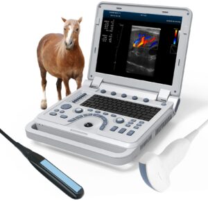 contec veterinary ultrasound scanner color doppler for pregnancy in animals dogs goats mare horses cattles with tow probes convex and rectal linear probe