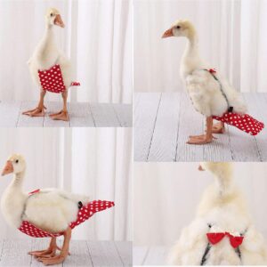 ABCD Chicken Diapers, Duck Diapers, Adjustable Chicken Diapers, Washable and Reusable, Chicken Costumes with Bows (Banana+Pineapple, S)