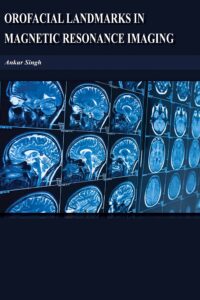 orofacial landmarks in magnetic resonance imaging