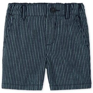 The Children's Place Baby And Toddler Boys Printed Chino Shorts