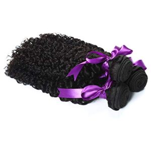 Hair Extensions, Wigs & Accessories Malaysian Kinky Curly Hair 3 Bundle Deals Non Remy Human Hair Weave Extension Natural Black Human Hair Wig for Women (Length : 26 28 28)