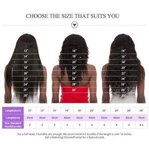 Hair Extensions, Wigs & Accessories Peruvian Straight Hair 3 Bundles with 4 * 4 Closure Free part 100% Human Hair Non Remy Human Hair Extension for Women