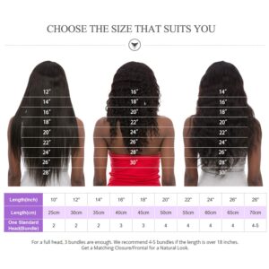 Hair Extensions, Wigs & Accessories Peruvian Straight 3 Bundles With 13 * 4 Lace Frontal Closure Hair Weave Bundles With Baby Hair Non Remy Human Hair Extension for Women (Length : 26 26 26Cl20)