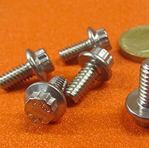 18-8 Stainless Steel 12 Point FT Bolts 1/4"-20 Thread x .500 Length 5 pcs