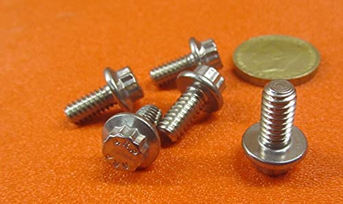 18-8 Stainless Steel 12 Point FT Bolts 1/4"-20 Thread x .500 Length 5 pcs