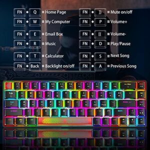 60% Mechanical Gaming Keyboard and Mouse Combo with RGB Backlit,Blue Switch,68 Keys Anti-ghosting,Type C,Lightweight Gaming Mice 2400DPI,Two Red Keycaps,Mousepad for Gamers,Typists(Black)