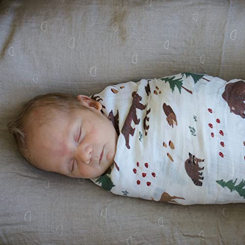 RED ROVR Organic Cotton Swaddle | Newborn Receiving Blanket | Baby Wrap | Boy, Girl, Unisex | Soft, Lightweight, Breathable | Burping, Nursing | 2-Pack | 44" x 44" | Bear Buddies