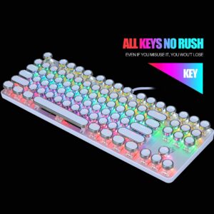 Type Writer Keyboard, Typewriter-Style Steampunk Mechanical Gaming Keyboards Blue Switch with 9 True RGB Backlight Modes and 87-Key Wired Keyboard with Spill-Resistant (Round Keycaps)