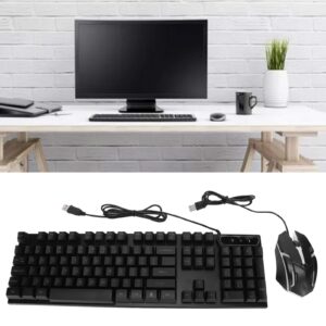 RGB Gaming Keyboard and Mouse Combo for PC,104 Keys Wired LED Backlit Keyboard,Injection Molded Floating Keycaps,Quick Response Gaming Mouse(Black)