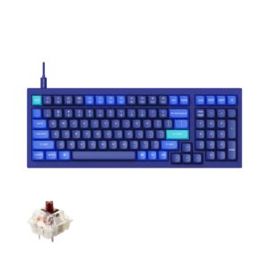 keychron q5 rgb qmk/via programmable macro wired custom mechanical keyboard with hot-swappable gateron g pro brown switch, 96% layout full aluminum double gasket for mac windows linux(blue)