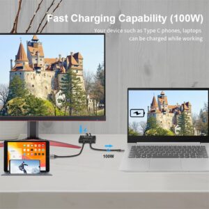 ConnBull USB-C Switch 2 in 1 Output Upgrade Version Supports 4K@120Hz 8K@30Hz Video / 10Gbps Data Transfer Compatible with Thunderbolt Device, Black