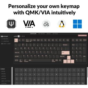 Keychron Q5 RGB QMK/VIA Programmable Macro Wired Custom Mechanical Keyboard with Hot-Swappable Gateron G Pro Brown Switch, 96% Layout Full Aluminum Double Gasket for Mac Windows Linux(Blue)