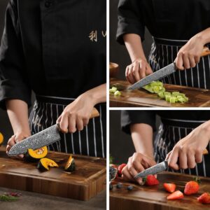 Wakoli Kitchen Knife Set, 4 Pieces Professional Chef Knife Set made from 67 Layers of Damascus Steel with VG10 Core, Damascus Knife with Ergonomic Pakkawood Handles in Wooden Gift Box (EDIB Pro 4-pcs)