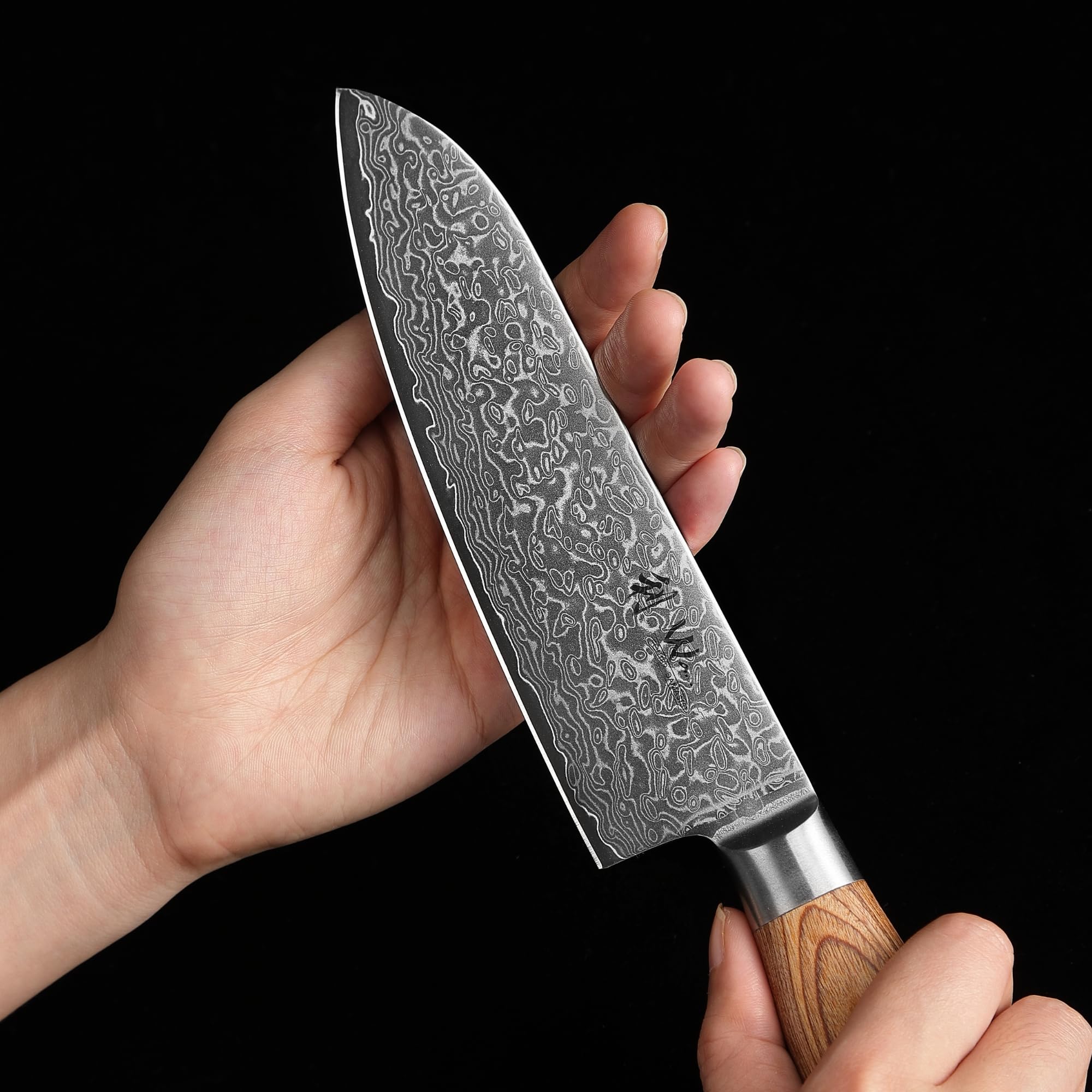 Wakoli Kitchen Knife Set, 4 Pieces Professional Chef Knife Set made from 67 Layers of Damascus Steel with VG10 Core, Damascus Knife with Ergonomic Pakkawood Handles in Wooden Gift Box (EDIB Pro 4-pcs)