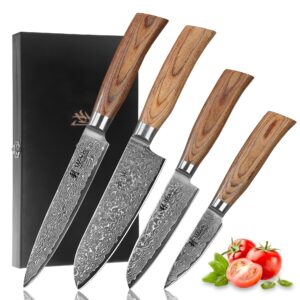 wakoli kitchen knife set, 4 pieces professional chef knife set made from 67 layers of damascus steel with vg10 core, damascus knife with ergonomic pakkawood handles in wooden gift box (edib pro 4-pcs)