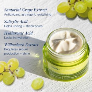 KORRES Santorini Grape Poreless Skin Cream, 1.35 fl. oz.