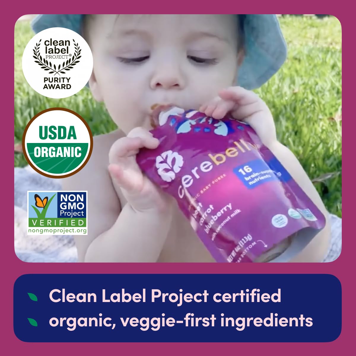 Cerebelly Baby Food Pouches – Organic Beet Carrot Blueberry (4 oz, Pack of 6) - Toddler Snacks, 16 Brain-supporting Nutrients, Healthy Snacks, Made with Gluten-Free Ingredients, No Added Sugar