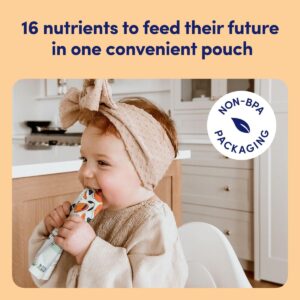 Cerebelly Organic Baby Food Pouches – 6+ Months Organic Beef Bone Broth Pouches | Protein, Healthy Fats, Non-GMO | Toddler Pouches | 4 Ounce BPA-Free Pouches | Carrot Beef Bone Broth | 6 Count