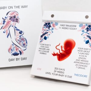 Baby On The Way - Day By Day Pregnancy Calendar, Pregnancy guide, Pregnancy gift, daily countdown planner, pregnancy journal, Keepsake Journal, pregnancy keepsake, pregnancy journal, new mom gift