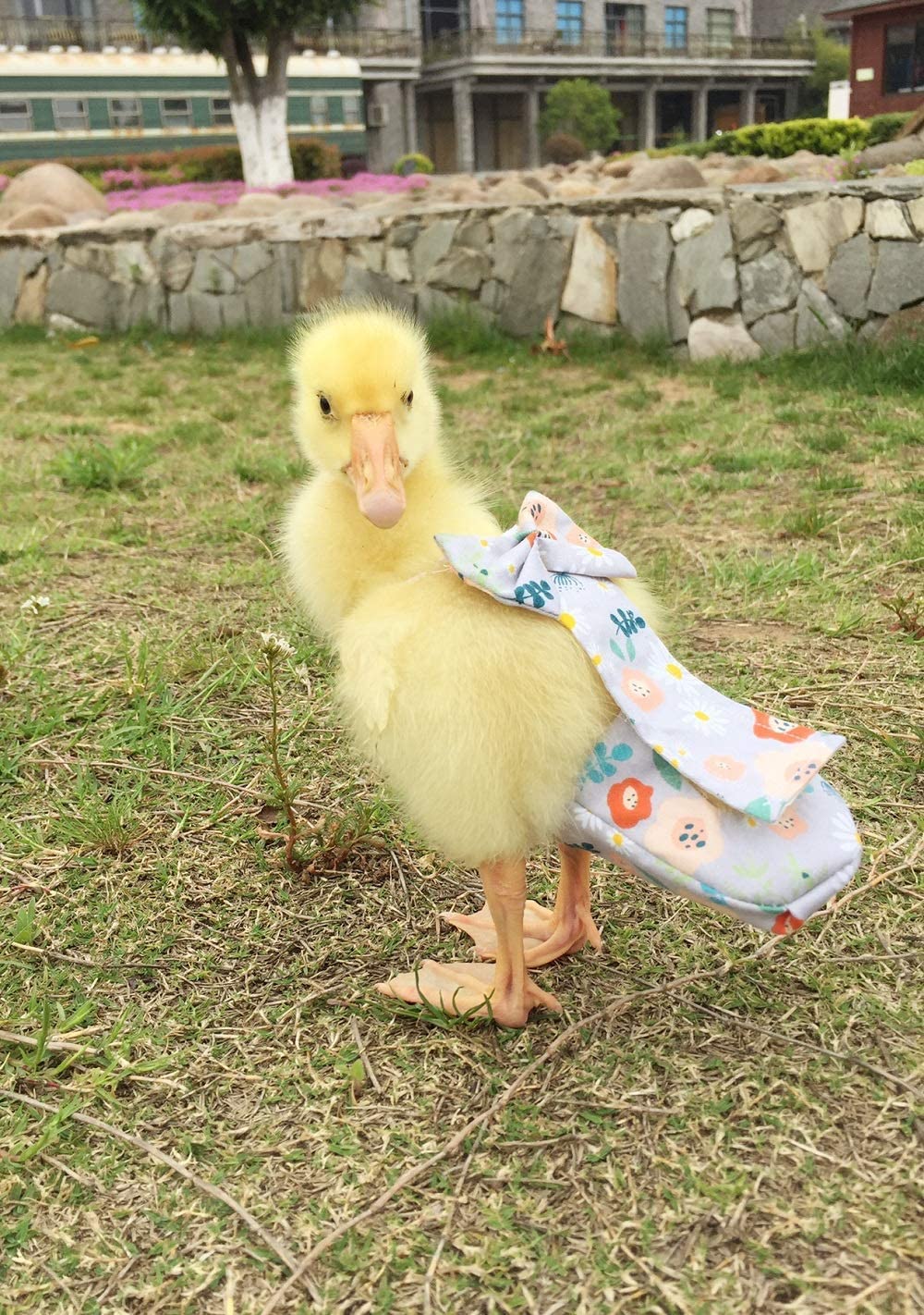 WCDJOMOP Duck Diapers, Chicken Diapers, Handmade Diapers for Poultry, Chicken, Duck and Goose Waterproof, Adjustable, Washable Reusable Diapers for Poultry, Duck Supplies (S(0.1kg-0.2kg),Floral)