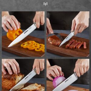 Aiheal 17PCS Stainless Steel Knife Set with Clear Knife Block, No Rust and Super Sharp Kitchen Knife Set in One Piece Design with Knife Sharpener for Kitchen, Steak Knives Set