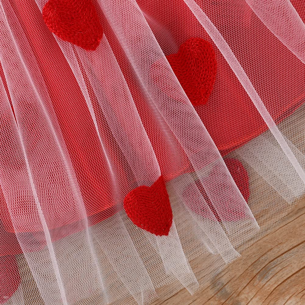 Infant Girls Dresses Double Tulle Long Sleeves Dresses+Bow Headband 3D Heart Applique Valentines Day Baby Clothes (Red Dress,3-6 Months)