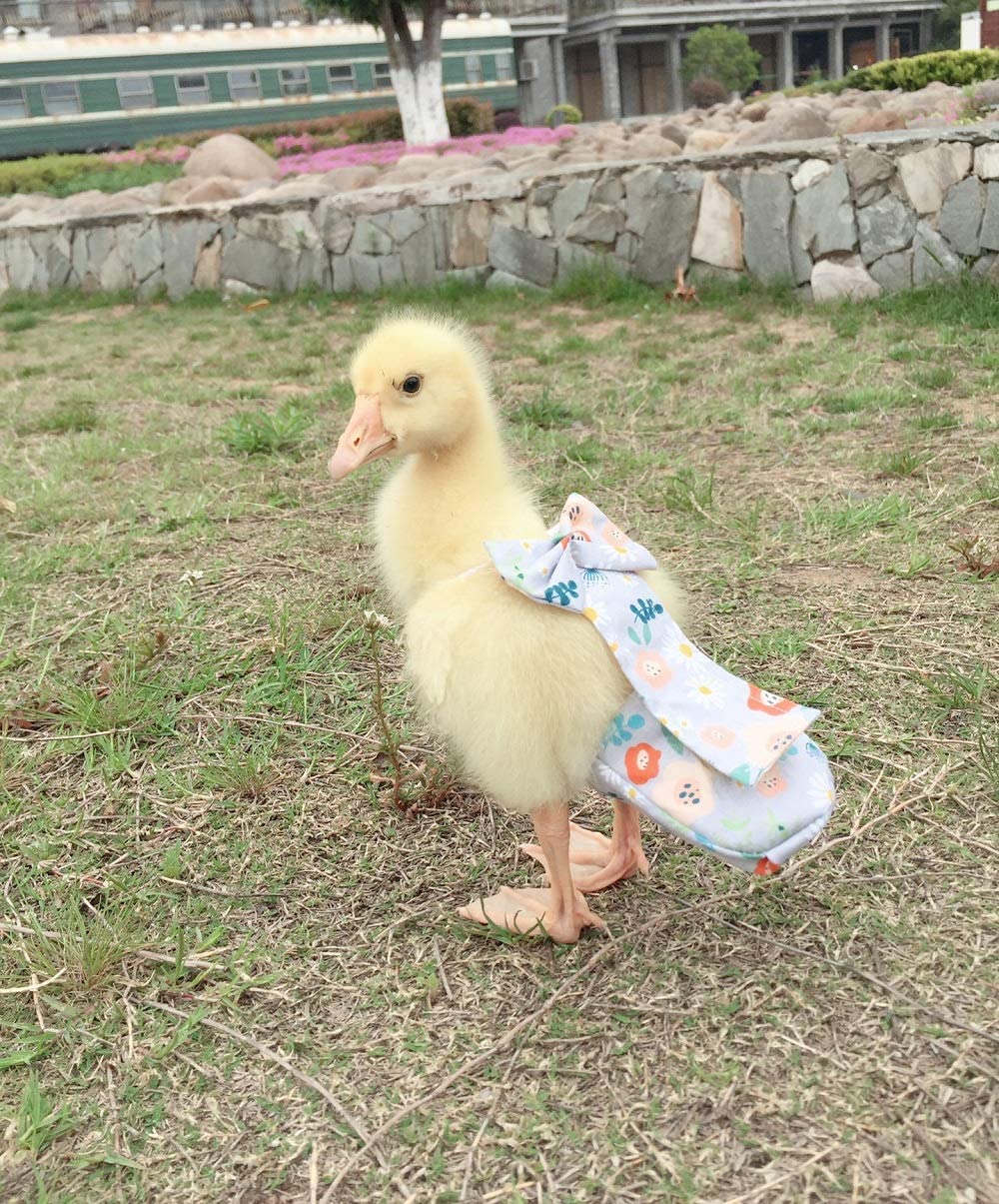 WCDJOMOP Duck Diapers, Chicken Diapers, Handmade Diapers for Poultry, Chicken, Duck and Goose Waterproof, Adjustable, Washable Reusable Diapers for Poultry, Duck Supplies (S(0.1kg-0.2kg),Floral)