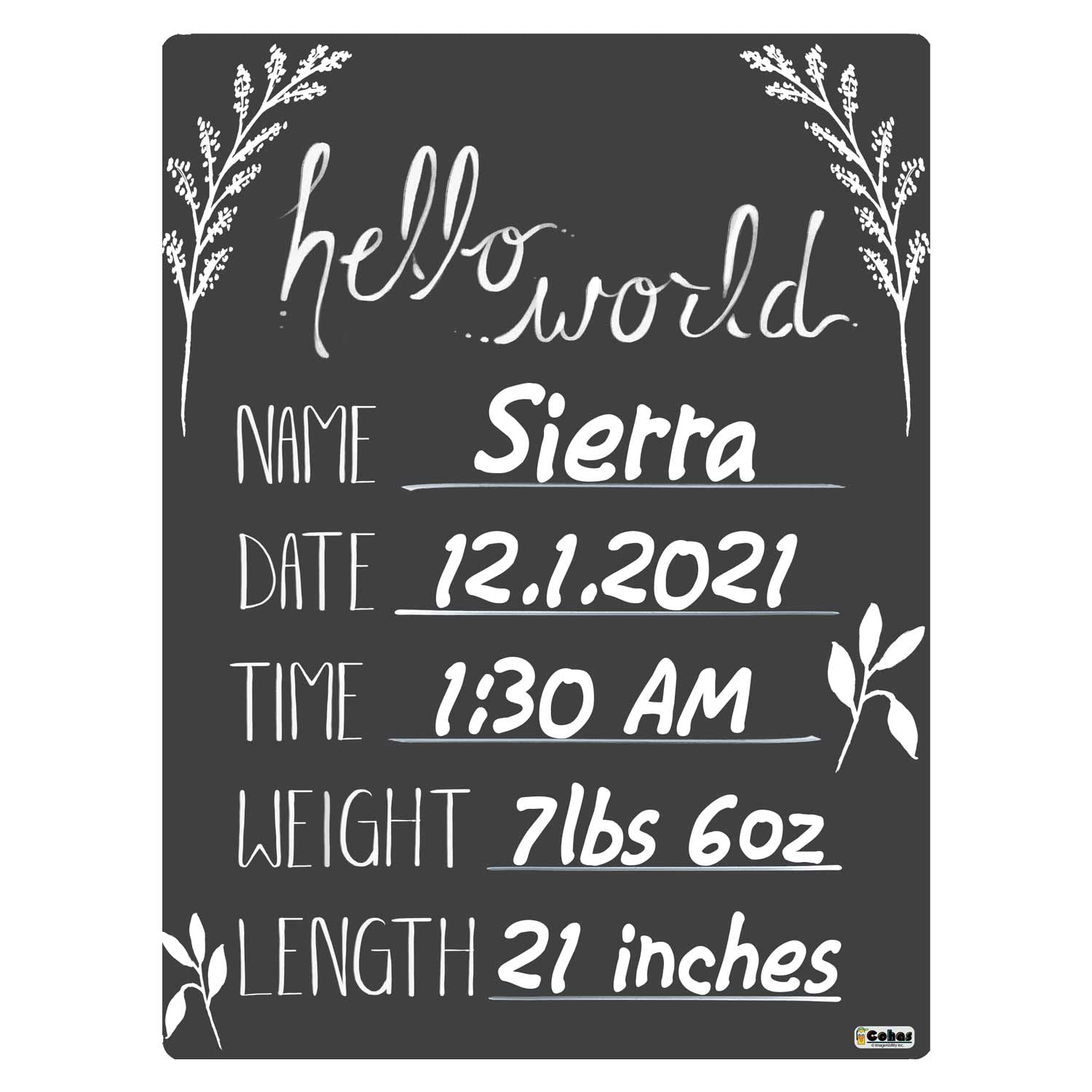 Cohas Hello World Newborn Baby Announcement Sign with Chalkboard Style Surface, 9 by 12 Inches, White Marker