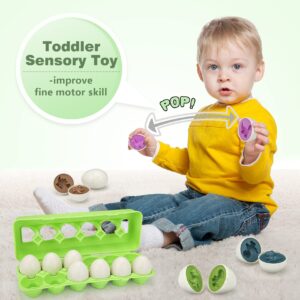 EDUJOY Matching Eggs for Toddlers, Easter Eggs Dinosaur Toys for 2 Year Old Boy Easter Gifts, Learning Sensory Toys for Toddlers Age 1 2 3, Baby Toys 12-18 Months Montessori Gifts Dinosaur Eggs