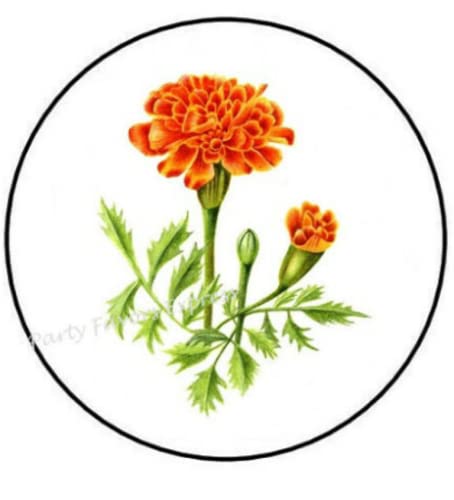 30 Pcs 1.5" Inch Marigold Flowers Stickers - Flower Stickers - Thank You Stickers for Packaging Envelope Seals Labels - D #AA61RK