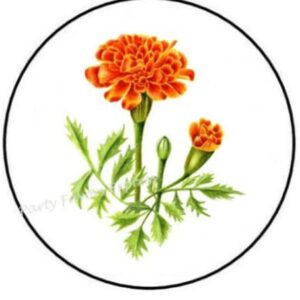 30 Pcs 1.5" Inch Marigold Flowers Stickers - Flower Stickers - Thank You Stickers for Packaging Envelope Seals Labels - D #AA61RK