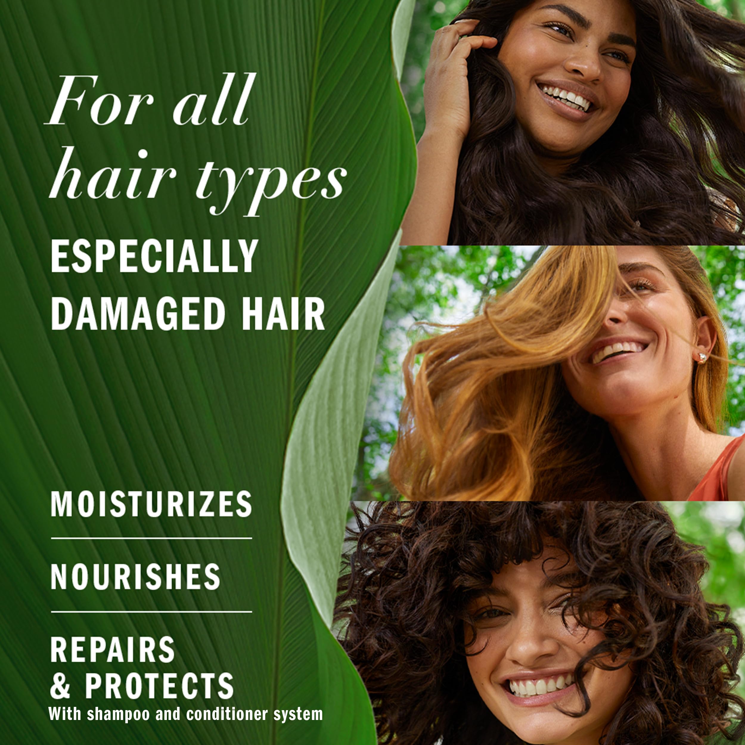 Herbal Essences Avocado & Argan Oil Sulfate-Free Conditioner, 13.5 fl oz