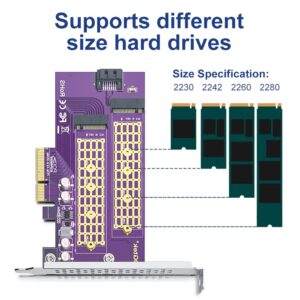 10Gtek 2-Port M.2 NVMe Adapter M-Key and B-Key, PCIe X4 Gen3.