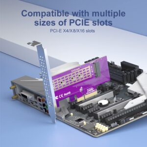 10Gtek 2-Port M.2 NVMe Adapter M-Key and B-Key, PCIe X4 Gen3.