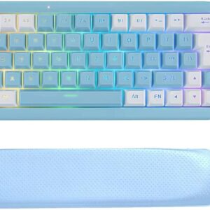 KOLMAX 60% Wireless Gaming Keyboard,Ultra-Compact 2.4G Rechargeable RGB Gaming Keyboard,with Detachable Wrist Rest Backlit Ergonomic 63 Keys Keyboard for Windows Mac PC Xbox PS4 Gamers(Bluewhite)…