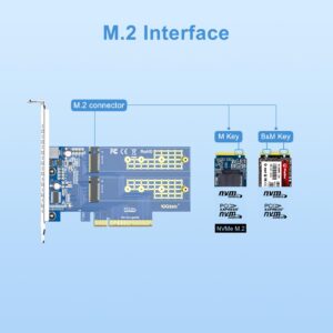 10Gtek 2-Port M.2 NVMe Adapter M-Key, PCIe X8 Gen3. Requires Motherboard BIOS Support for Bifurcation