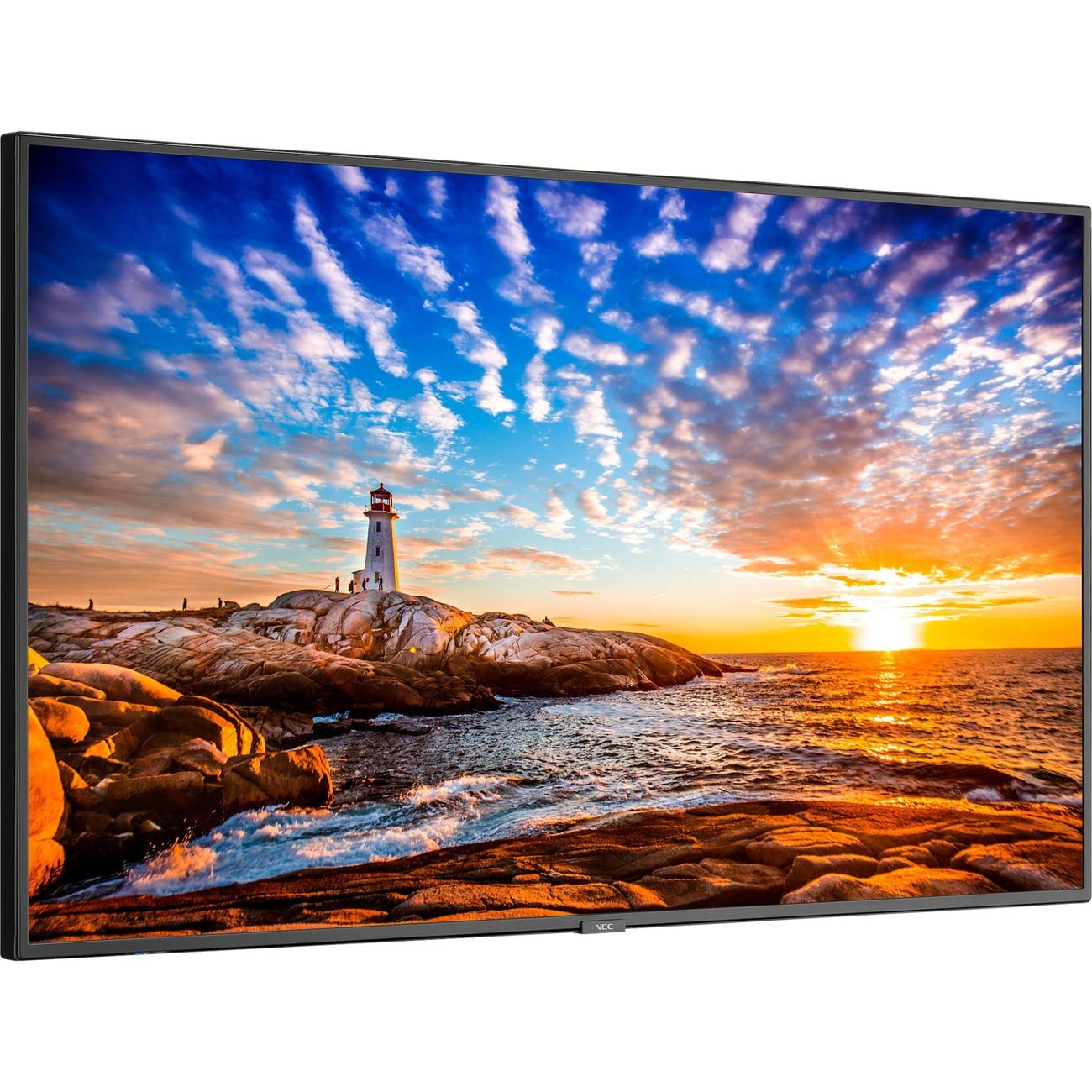 Sharp NEC Display 55 Wide Color Gamut Ultra High Definition Professional Display